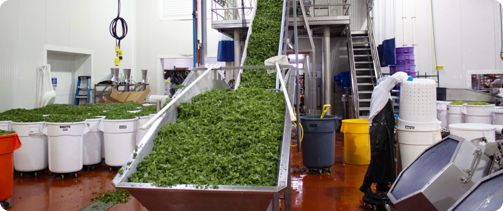 Bulk Fresh Cut Produce for Food Manufacturers | WPS Fresh